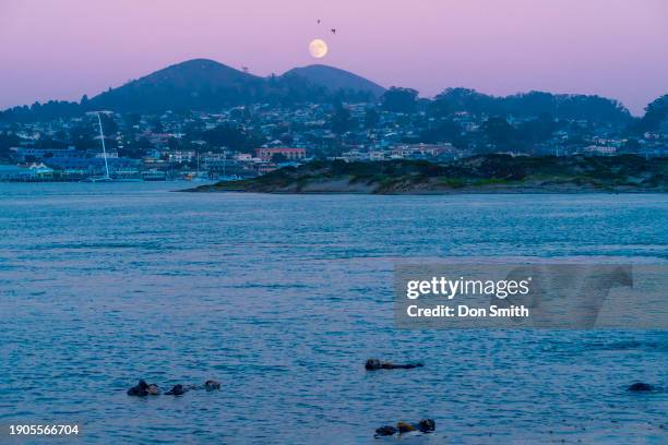 87 Port San Luis Calif Stock Photos, High-Res Pictures, and Images ... 87 Port San Luis Calif Stock Photos, High-Res Pictures, and Images ...