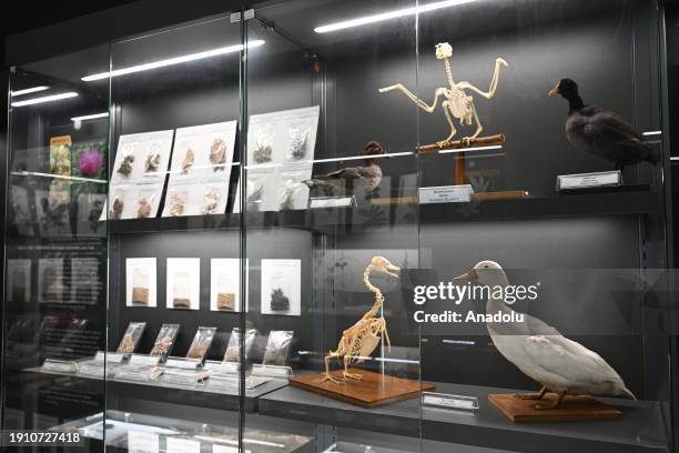 28 Trakya University Stock Photos, High-Res Pictures, and Images ... 28 Trakya University Stock Photos, High-Res Pictures, and Images ...