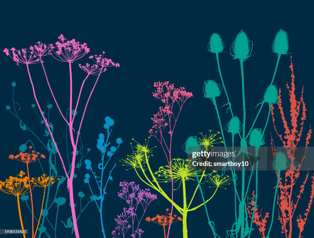 Wild Flower Pattern High-Res Vector Graphic - Getty Images Wild Flower Pattern High-Res Vector Graphic - Getty Images