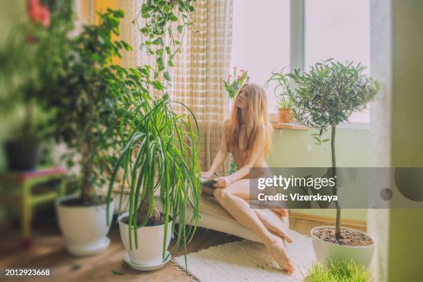 Curtain Fig Tree Photos And Premium High Res Pictures Getty Images