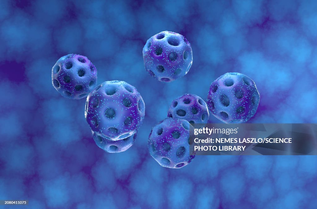 Rose Pollen Grains Illustration High Res Vector Graphic Getty Images
