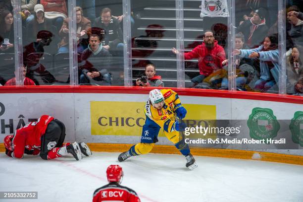 176 Matej Stransky Photos And High Res Pictures Getty Images
