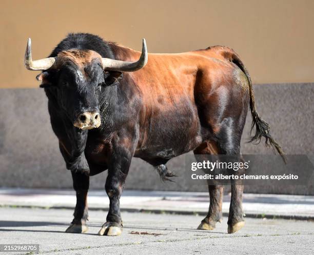 The Real Bull Case For Gas | Seeking Alpha Investing Groups
