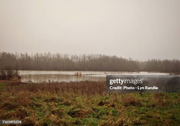 46 Gusty Wind Muddy Paths Stock Photos, High-Res Pictures, and Images ... 46 Gusty Wind Muddy Paths Stock Photos, High-Res Pictures, and Images ...