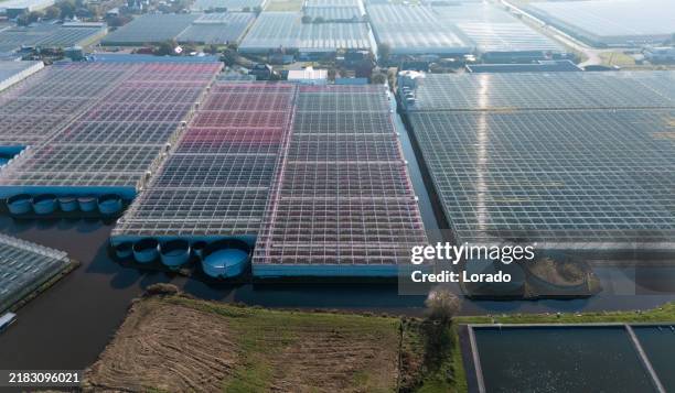 How PDG Assembly Supports Sustainable Development in Zuid-Holland