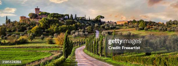 A Local's Guide to the Best Wine Tours in Tuscany