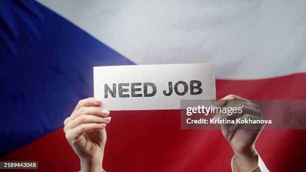 Expert Tips for Career Success in the Czech Republic
