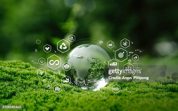 Sustainable Automation: Reducing Your Environmental Footprint with Everse