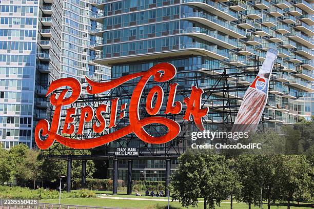 PepsiCo takes the Poppi brand international as it looks to ride the ...
