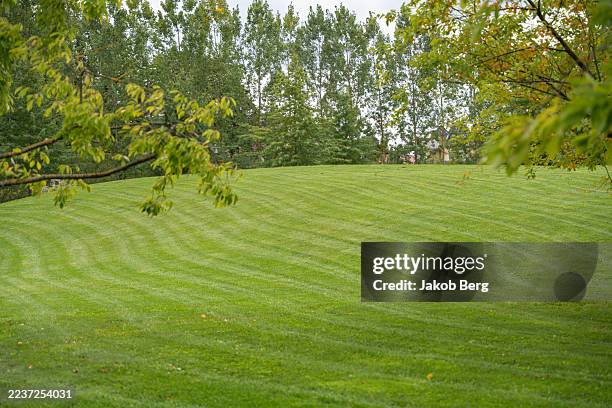 Why Bermuda Grass is the Best Choice for Your Lawn in Simpsonville, SC