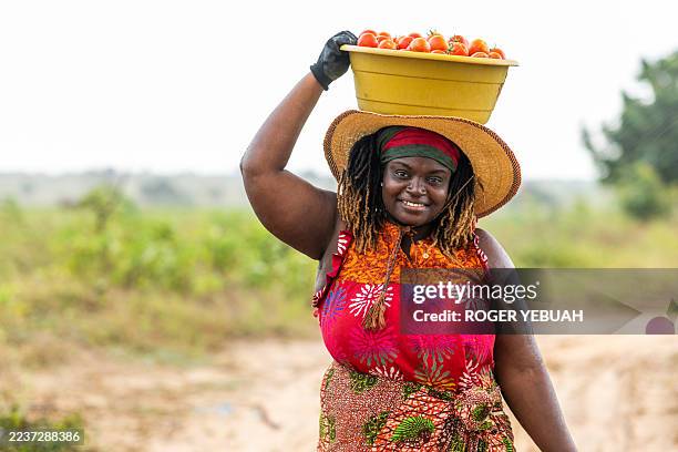 Understanding Seasonal Health Risks in African Regions
