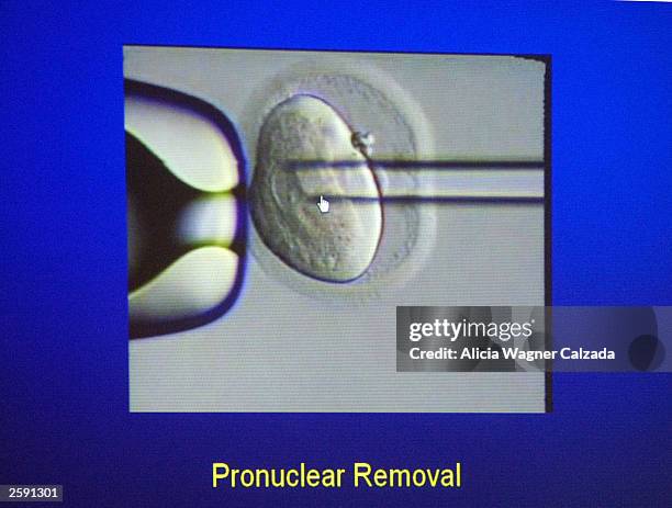 14 Dr John Zhang Photos And High Res Pictures Getty Images