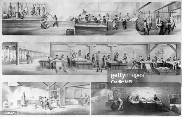 169 Disassembly Line Stock Photos, High-Res Pictures, and Images ... 169 Disassembly Line Stock Photos, High-Res Pictures, and Images ...