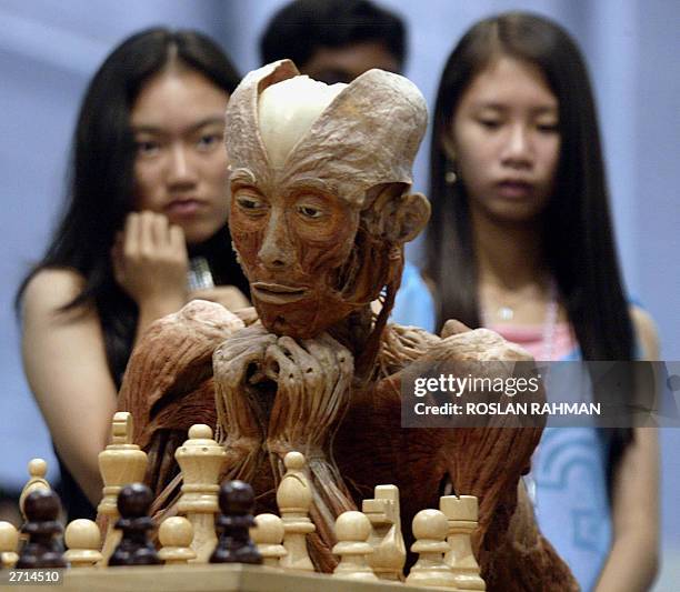 35 Preseved Stock Photos, High-Res Pictures, and Images - Getty Images 35 Preseved Stock Photos, High-Res Pictures, and Images - Getty Images