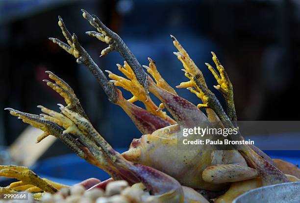Avian Flu Affects Thai Poultry Industry Photos And Premium High Res