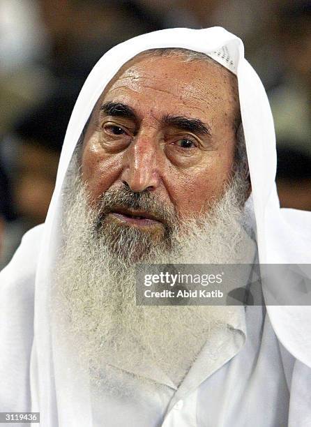 Abu Shanab Photos and Premium High Res Pictures - Getty Images Abu Shanab Photos and Premium High Res Pictures - Getty Images