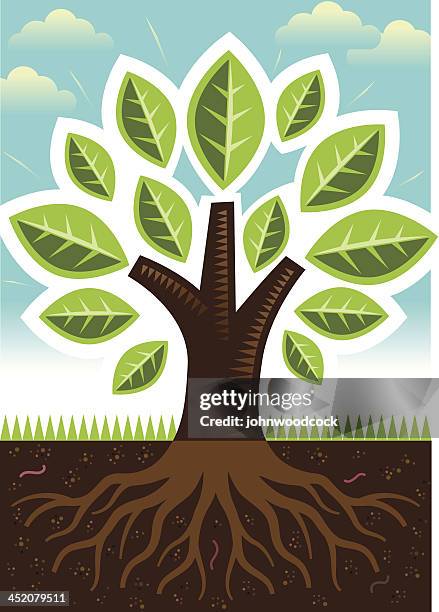 Worms Soil Photos and Premium High Res Pictures - Getty Images Worms Soil Photos and Premium High Res Pictures - Getty Images