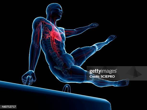 Gymnast Artwork High Res Vector Graphic Getty Images