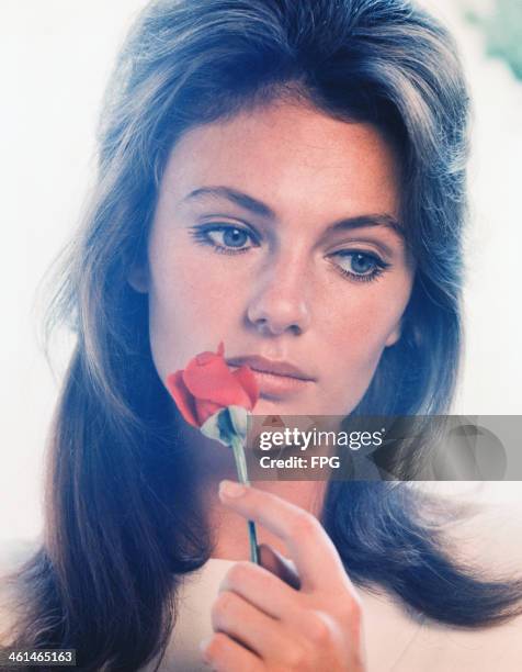 8 158点のジャクリーン ビセットの写真と高解像度写真 Getty Images