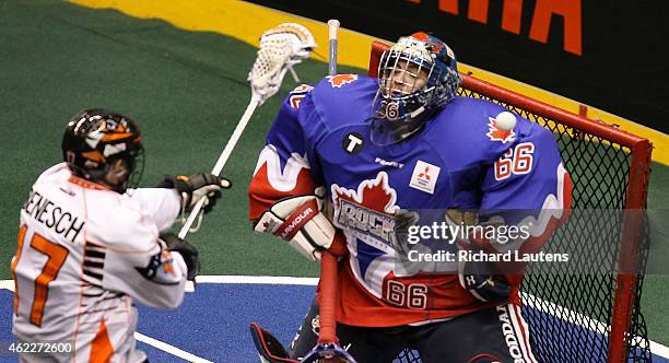 Nick Rose Lacrosse Photos And Premium High Res Pictures Getty Images