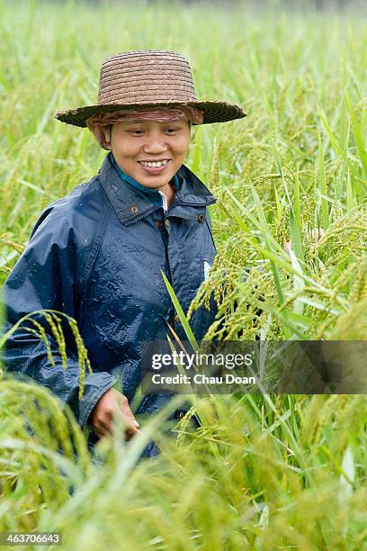 Nguyen Duc Hoa Photos and Premium High Res Pictures - Getty Images Nguyen Duc Hoa Photos and Premium High Res Pictures - Getty Images