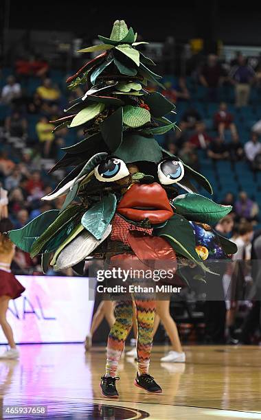 Stanford Mascot Tree Photos and Premium High Res Pictures - Getty Images Stanford Mascot Tree Photos and Premium High Res Pictures - Getty Images