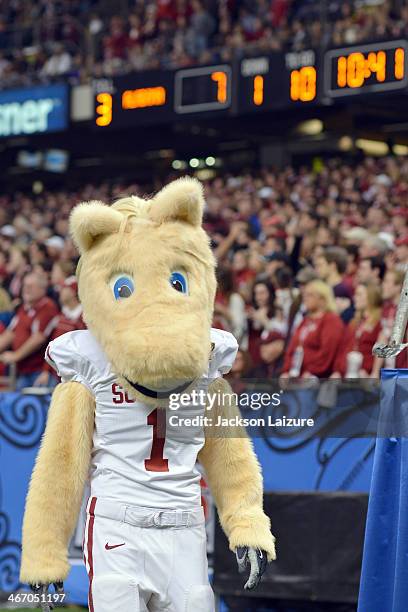 Mascot Boomer Photos And Premium High Res Pictures Getty Images
