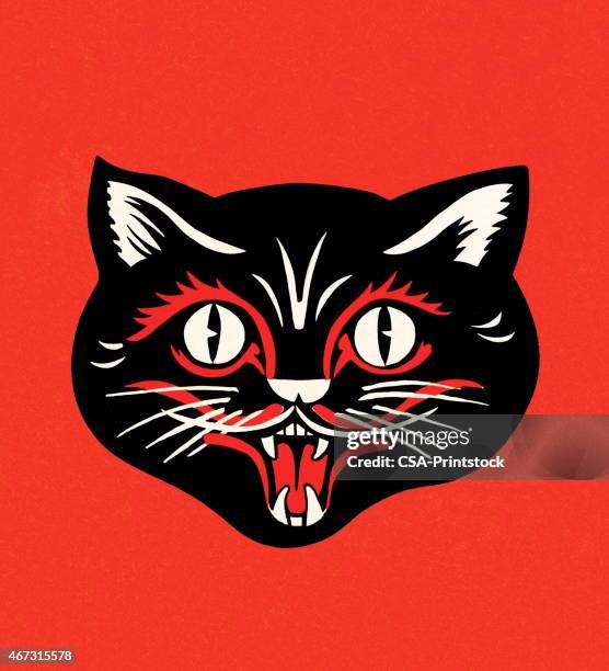 Pop Art Cat Photos And Premium High Res Pictures Getty Images