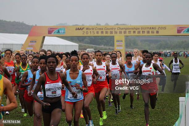 113 Guiyang Iaaf World Cross Country Championships Stock Photos, High ... 113 Guiyang Iaaf World Cross Country Championships Stock Photos, High ...