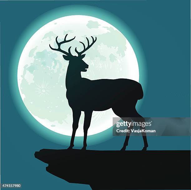 134 Deer Buck Clip Art High Res Illustrations Getty Images