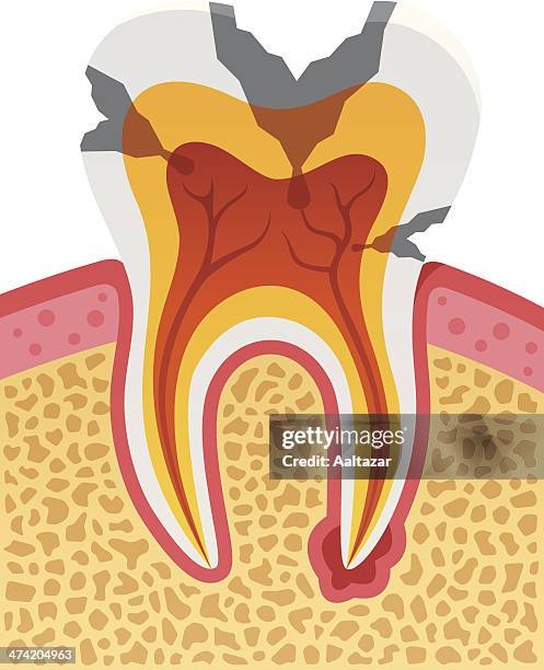 64 Types Of Muscle Anatomy Stock Photos, High-Res Pictures, and Images ... 64 Types Of Muscle Anatomy Stock Photos, High-Res Pictures, and Images ...