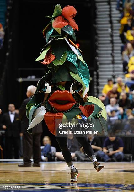 84 Stanford Mascot Tree Stock Photos, High-Res Pictures, and Images ... 84 Stanford Mascot Tree Stock Photos, High-Res Pictures, and Images ...