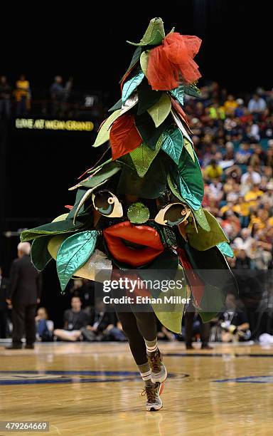 Stanford Mascot Tree Photos and Premium High Res Pictures - Getty Images Stanford Mascot Tree Photos and Premium High Res Pictures - Getty Images