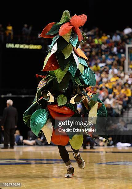 Stanford Mascot Tree Photos and Premium High Res Pictures - Getty Images Stanford Mascot Tree Photos and Premium High Res Pictures - Getty Images