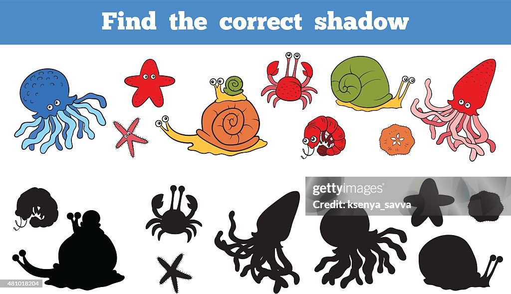 Find The Correct Shadow Sea Life Fish Octopus Snail Stars High-Res ... Find The Correct Shadow Sea Life Fish Octopus Snail Stars High-Res ...