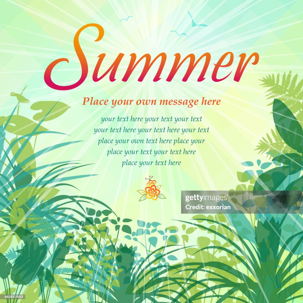 Assorted Plants Frame Background High-Res Vector Graphic - Getty Images Assorted Plants Frame Background High-Res Vector Graphic - Getty Images