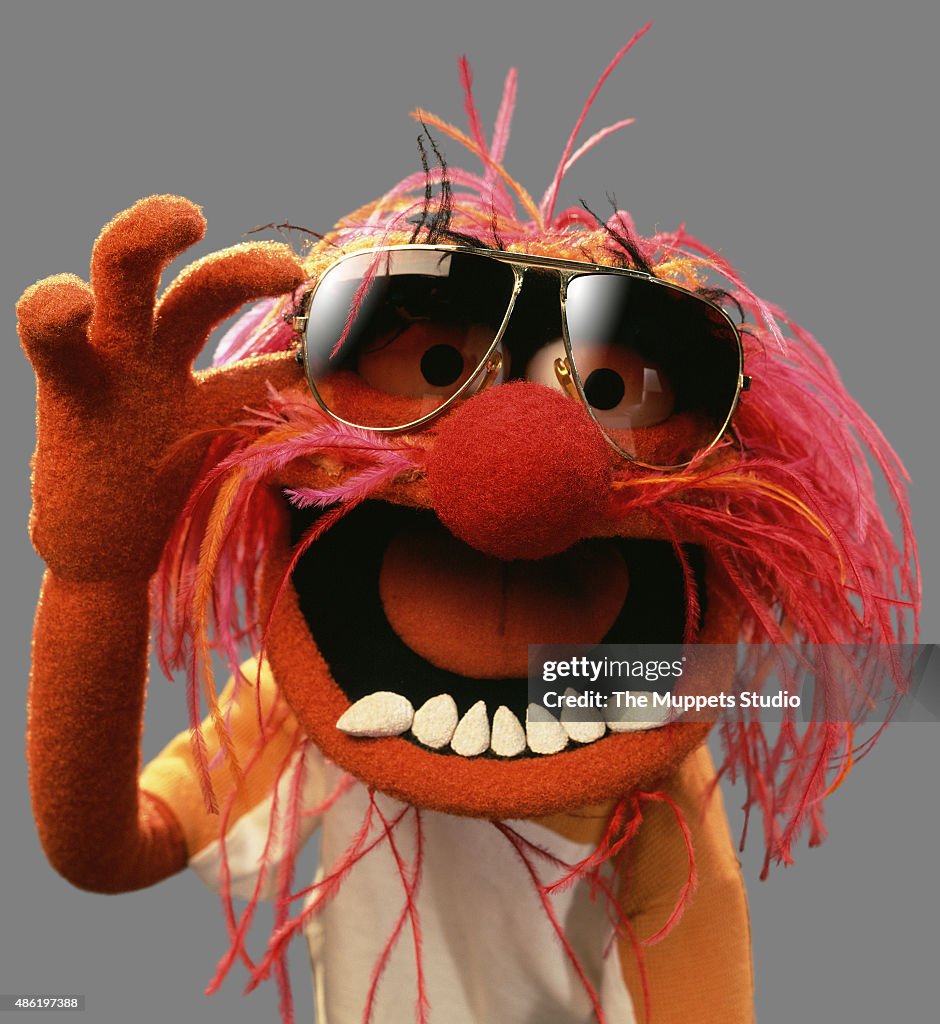THE MUPPETS - Walt Disney Television via Getty Images's THE MUPPETS - Walt Disney Television via Getty Images's