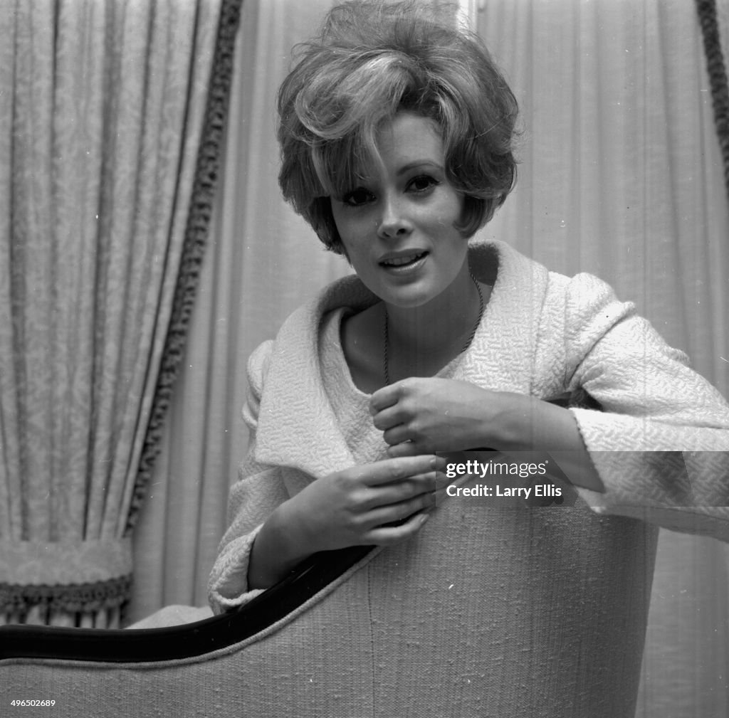 Posed Portrait Of Actress Jill St John September 30th 1964 Photo D