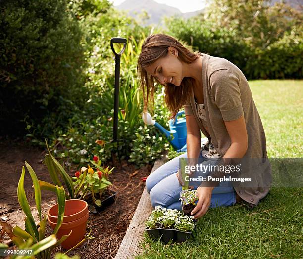 How to Choose the Best Plants for Your Hamilton Garden
