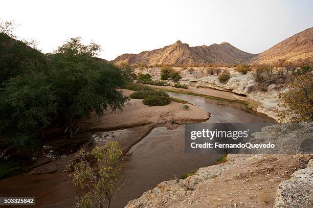 How Local Dowsing Experts in Namibia Locate Hidden Water Sources
