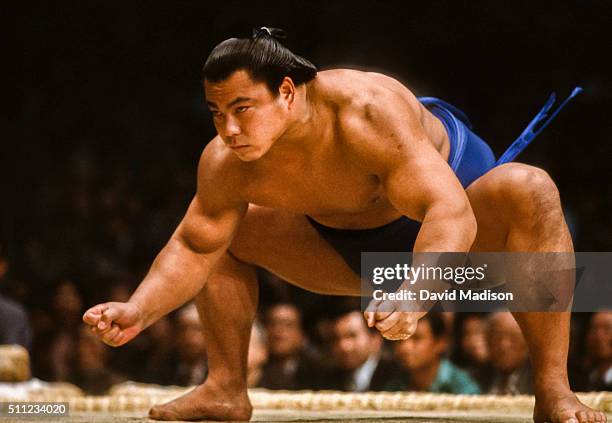 308 Fotos E Imágenes De Alta Resolución De Chiyonofuji Getty Images