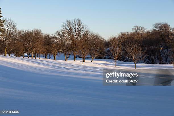 How to Prepare Your Yard for Nebraska Winters: A DIY Guide