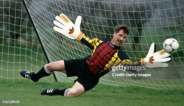 David Seaman Arsenal Photos and Premium High Res Pictures - Getty Images David Seaman Arsenal Photos and Premium High Res Pictures - Getty Images