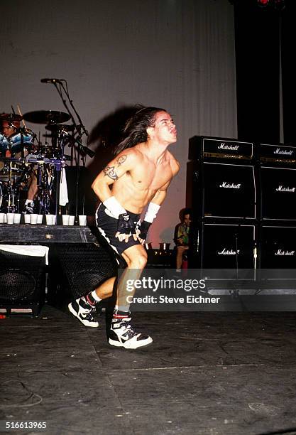 151 Lollapalooza 1991 Photos And High Res Pictures Getty Images