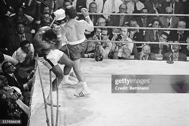 427 Jerry Quarry Photos And High Res Pictures Getty Images
