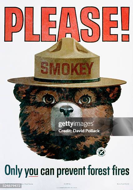 33 Only You Can Prevent Forest Fires Stock Photos, High-Res Pictures ... 33 Only You Can Prevent Forest Fires Stock Photos, High-Res Pictures ...