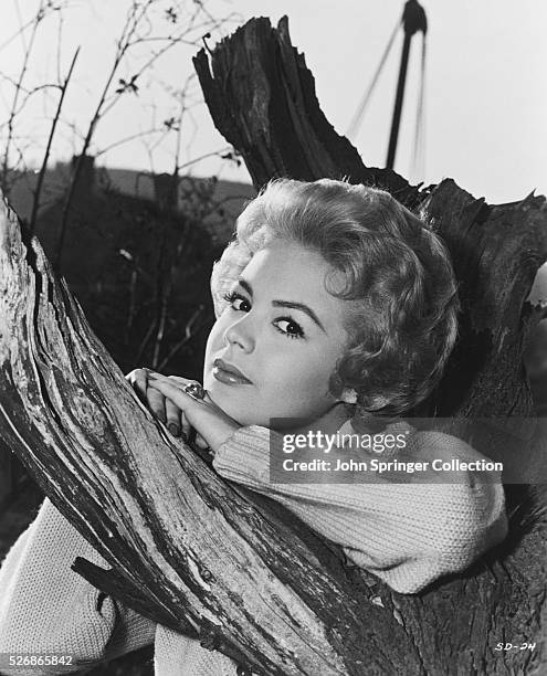 Sandra Dee Actress Stock Fotos Und Bilder Getty Images