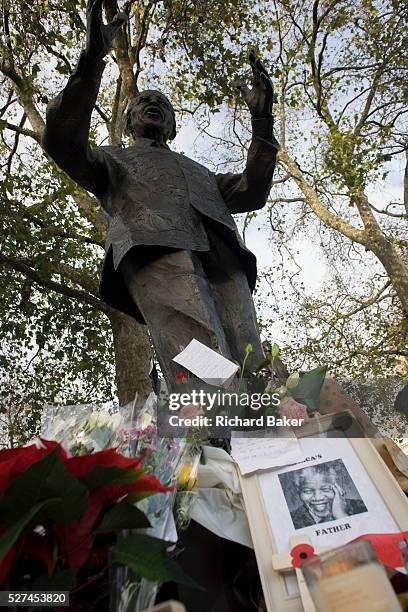 Anti Apartheid Hero Nelson Mandela Dies Aged 95 Photos And Premium High