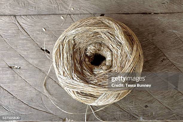109 Hmong Lai Photos & High Res Pictures - Getty Images 109 Hmong Lai Photos & High Res Pictures - Getty Images