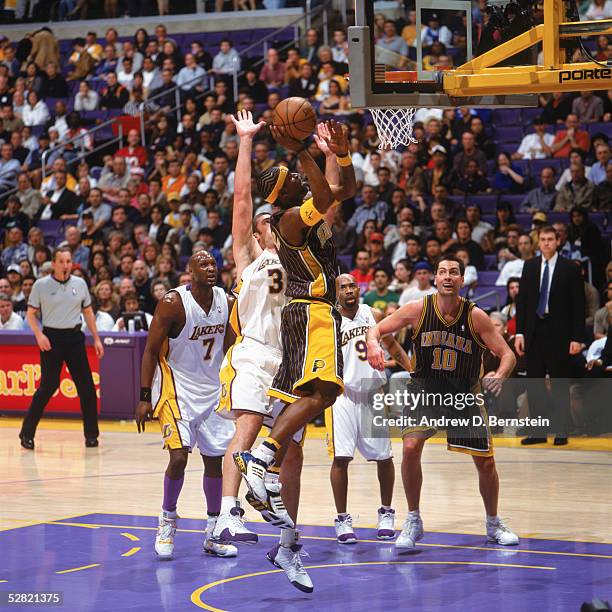 Lakers Vs Pacers 2005 Photos and Premium High Res Pictures - Getty Images Lakers Vs Pacers 2005 Photos and Premium High Res Pictures - Getty Images